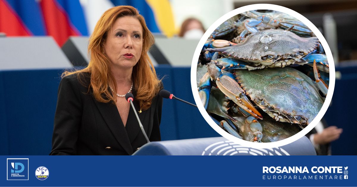 Adriatico ha bisogno di soluzioni, non mancette - Rosanna Conte ...